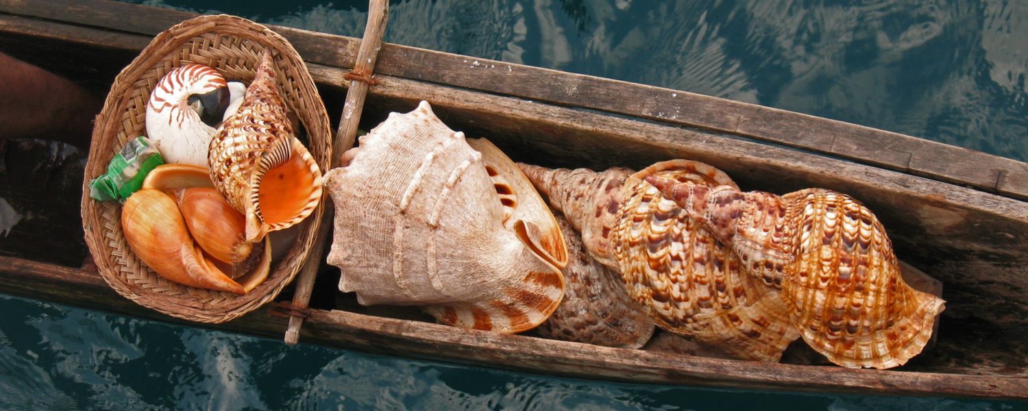 Off Site Activities – Paradise Cove Resort